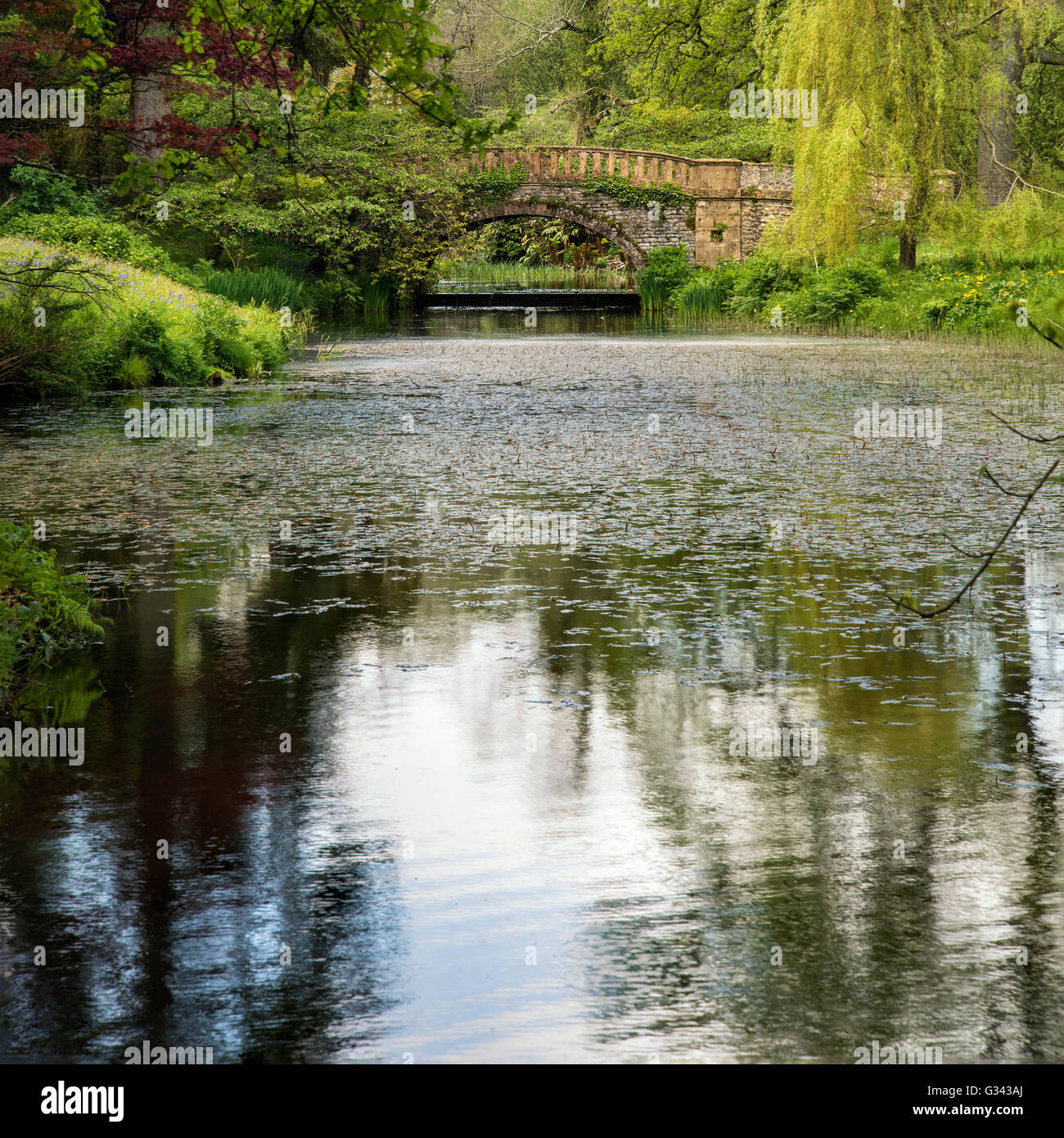 Stunning landscape image of old medieval bridge over river with mirror ...