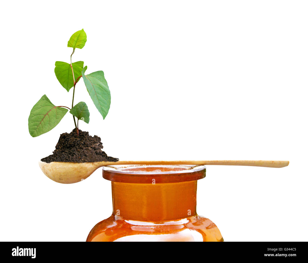 Medical herb store Cut Out Stock Images & Pictures - Alamy