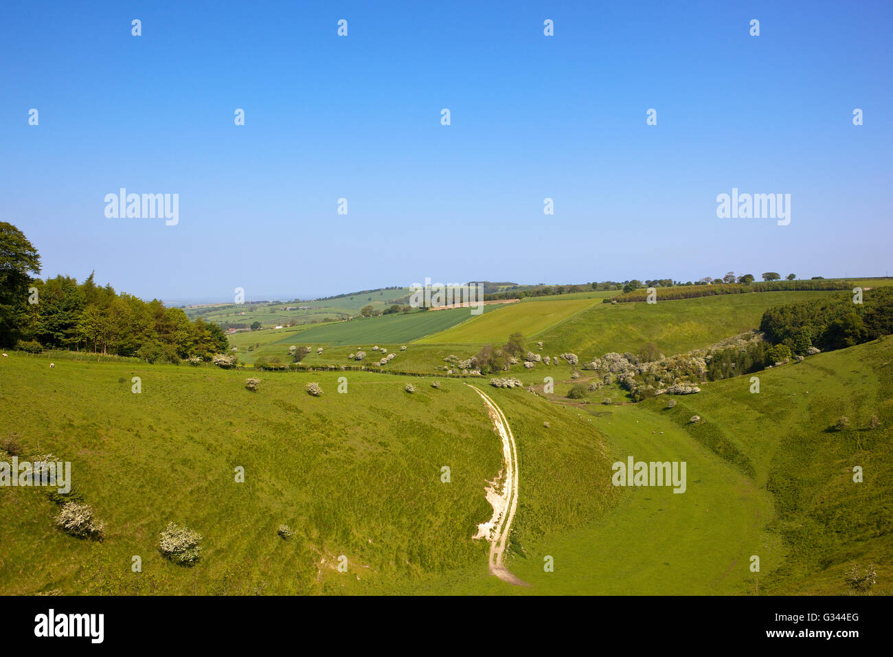 The lush green valley of scenic Painsthorpe dale on the limestone ...