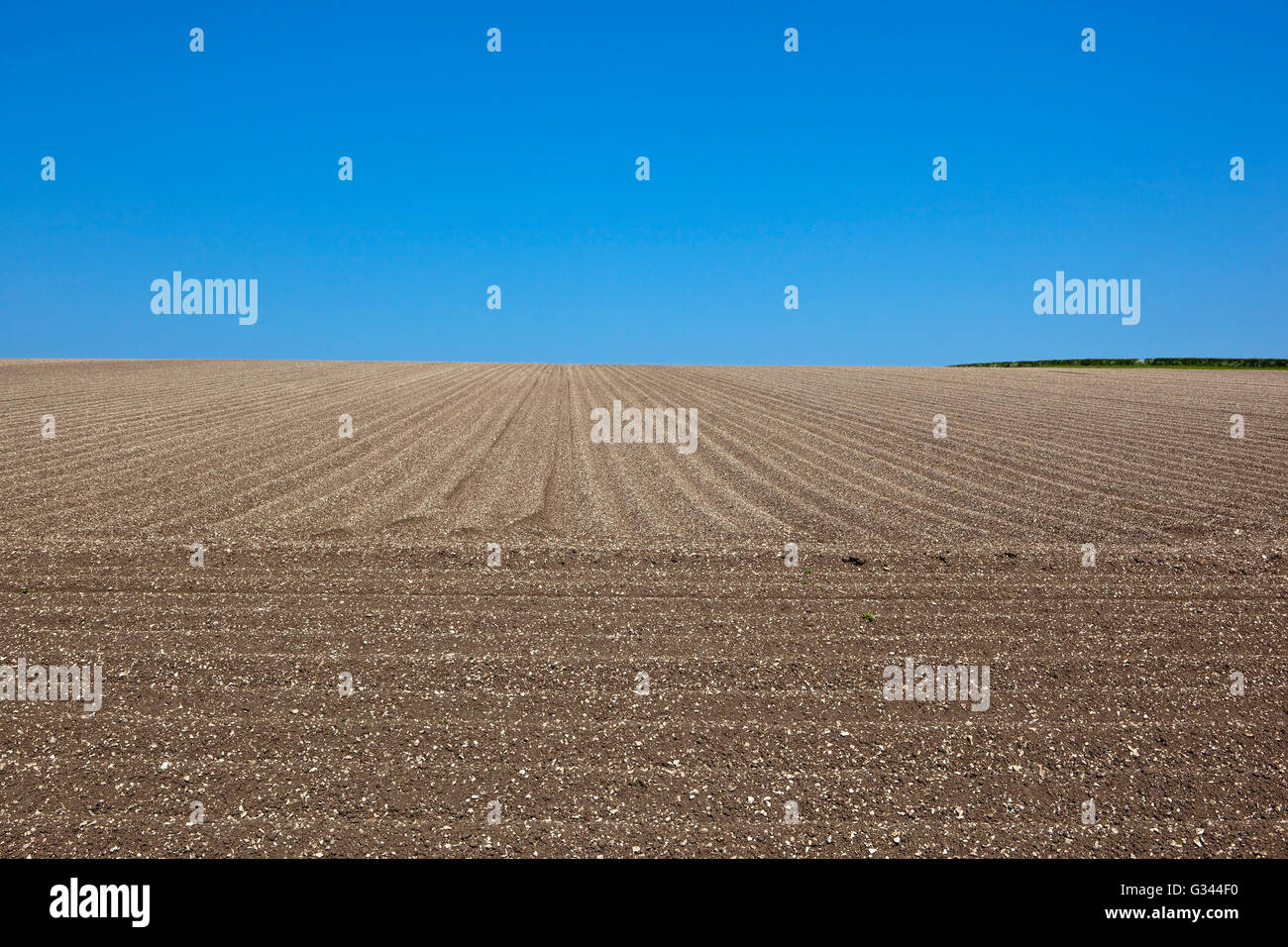 Chalk soil hi-res stock photography and images - Alamy