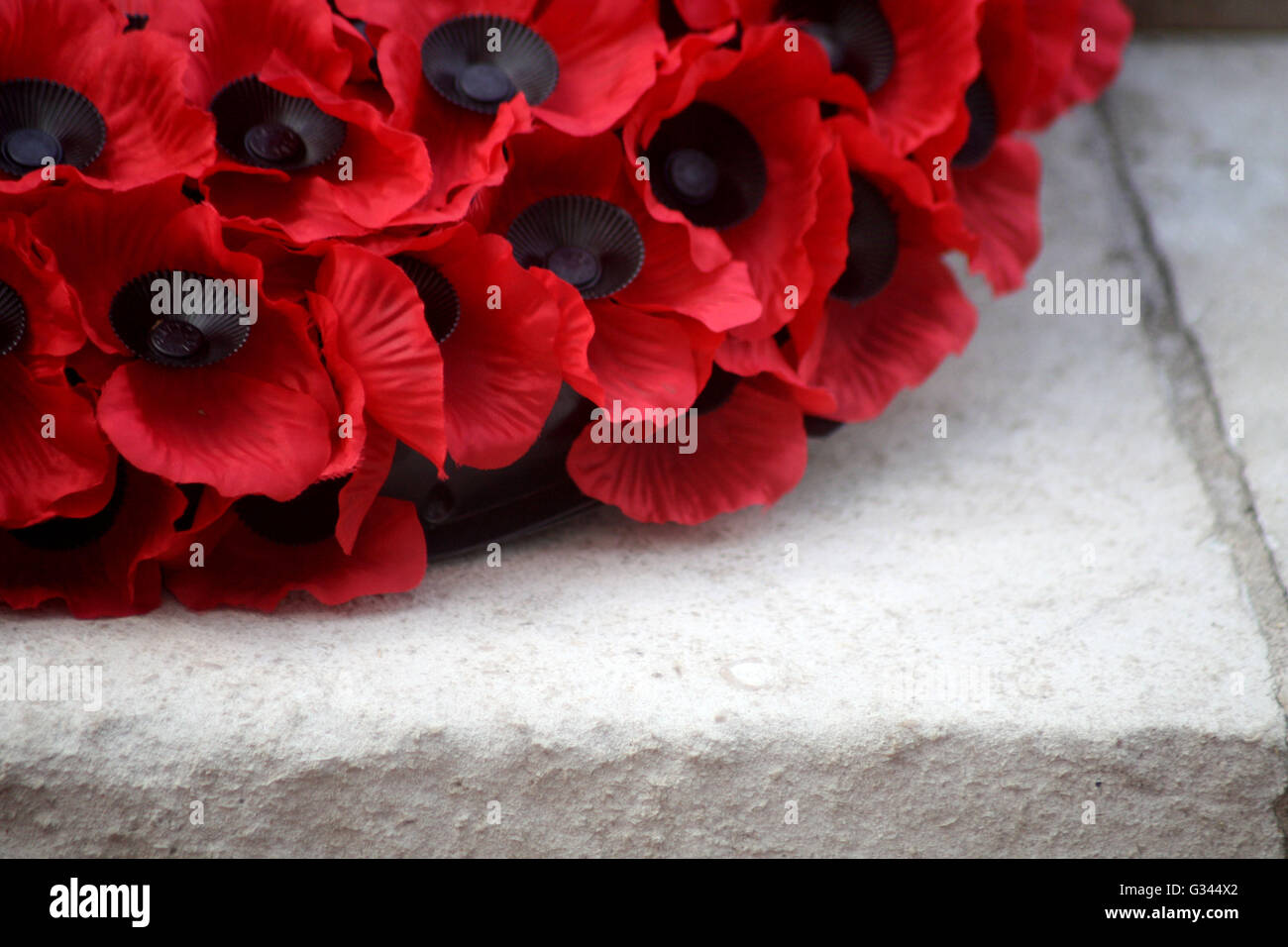 Remembrance day scene Stock Photo - Alamy