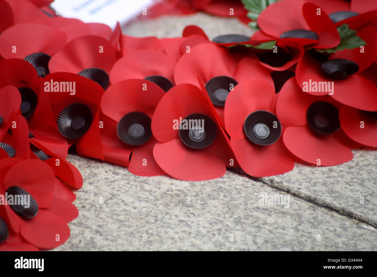 Remembrance day scene Stock Photo - Alamy