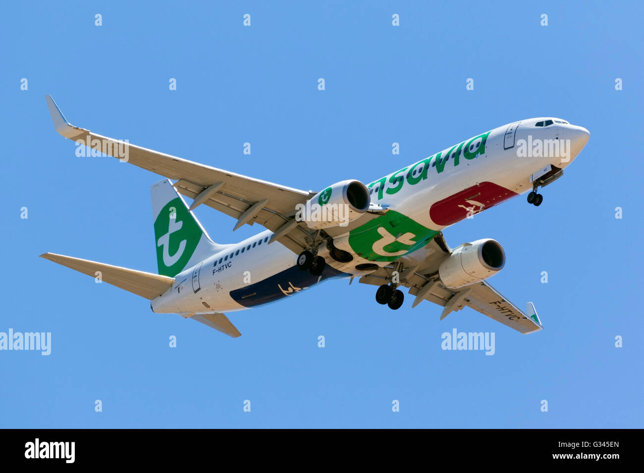 New aircraft transavia hi-res stock photography and images - Alamy