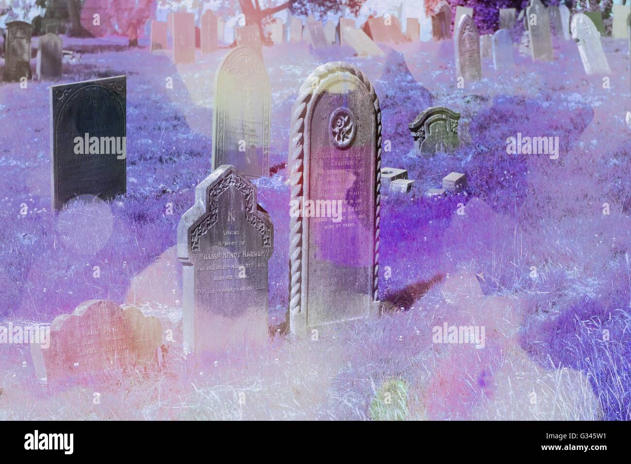Purple Headstones High Resolution Stock Photography and Images - Alamy