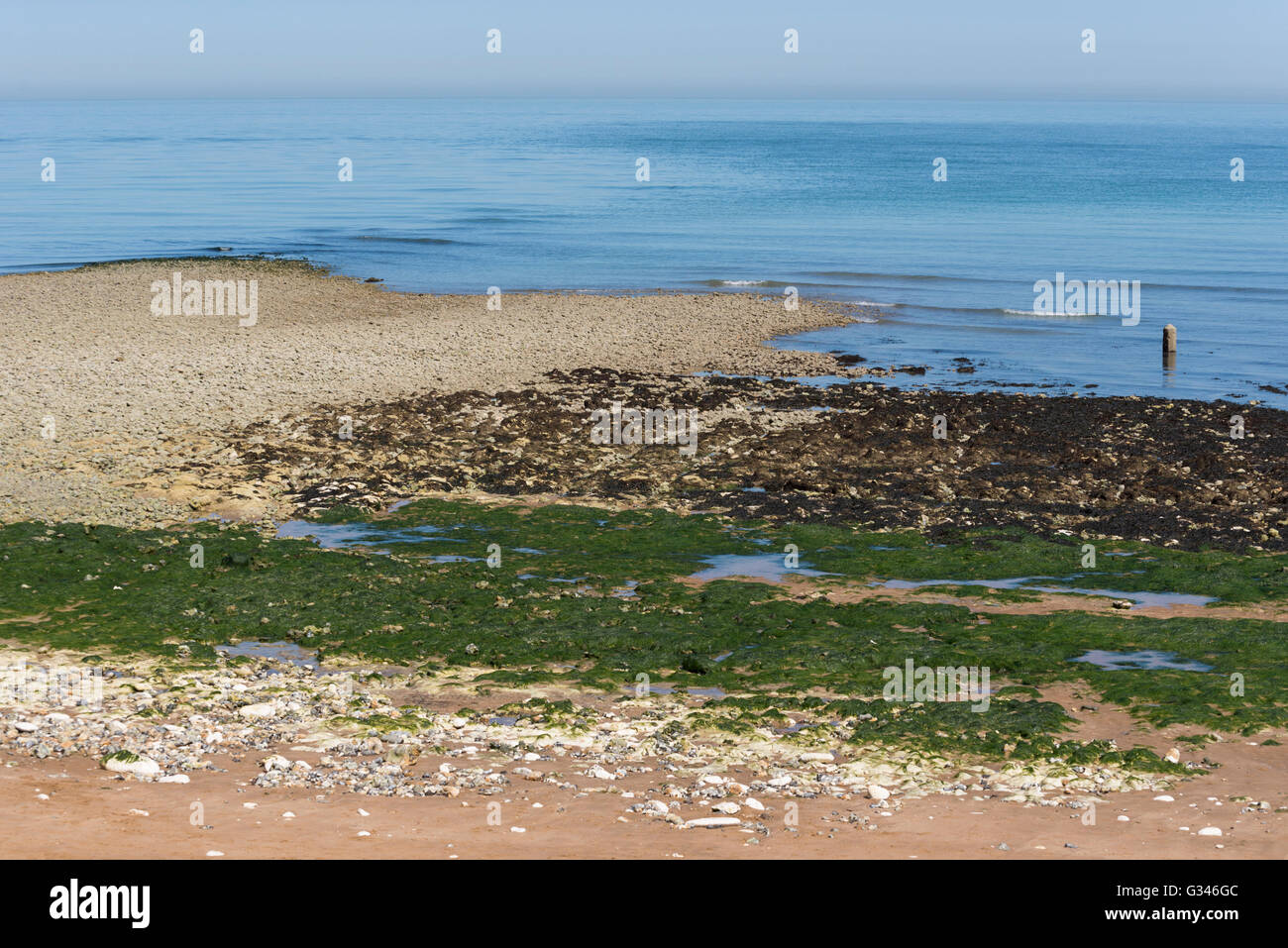 Beach partially covered in seaweed Stock Photo - Alamy