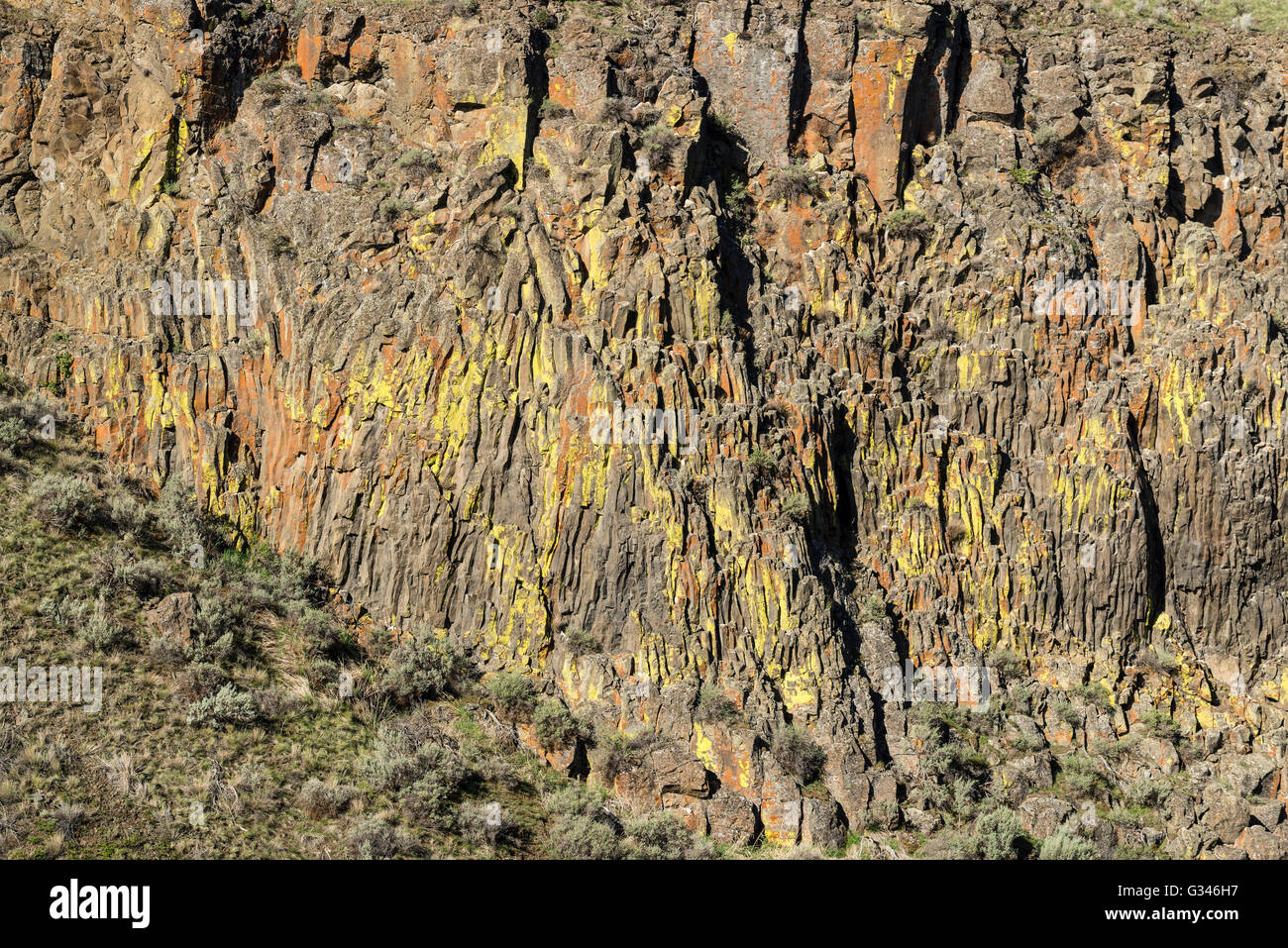 Lichen growing on a basalt cliff along the Crooked River, Oregon Stock ...