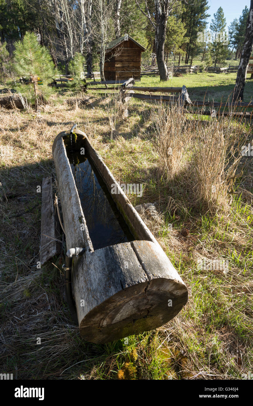 Water trough at Cold Springs Guard Station in Oregon's Ochoco National ...