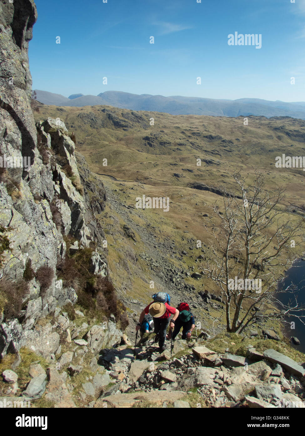 Jacks rake pavey ark hi-res stock photography and images - Alamy