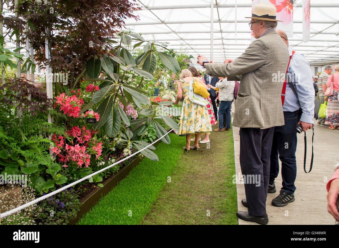 RHS Chelsea Flower Show 2016 Stock Photo - Alamy
