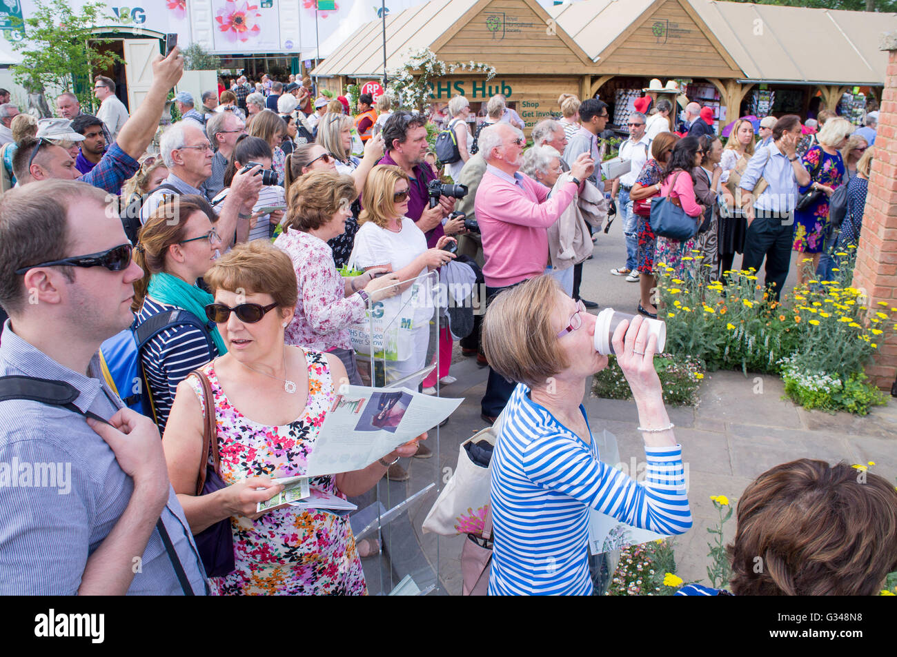 RHS Chelsea Flower Show 2016 Stock Photo - Alamy