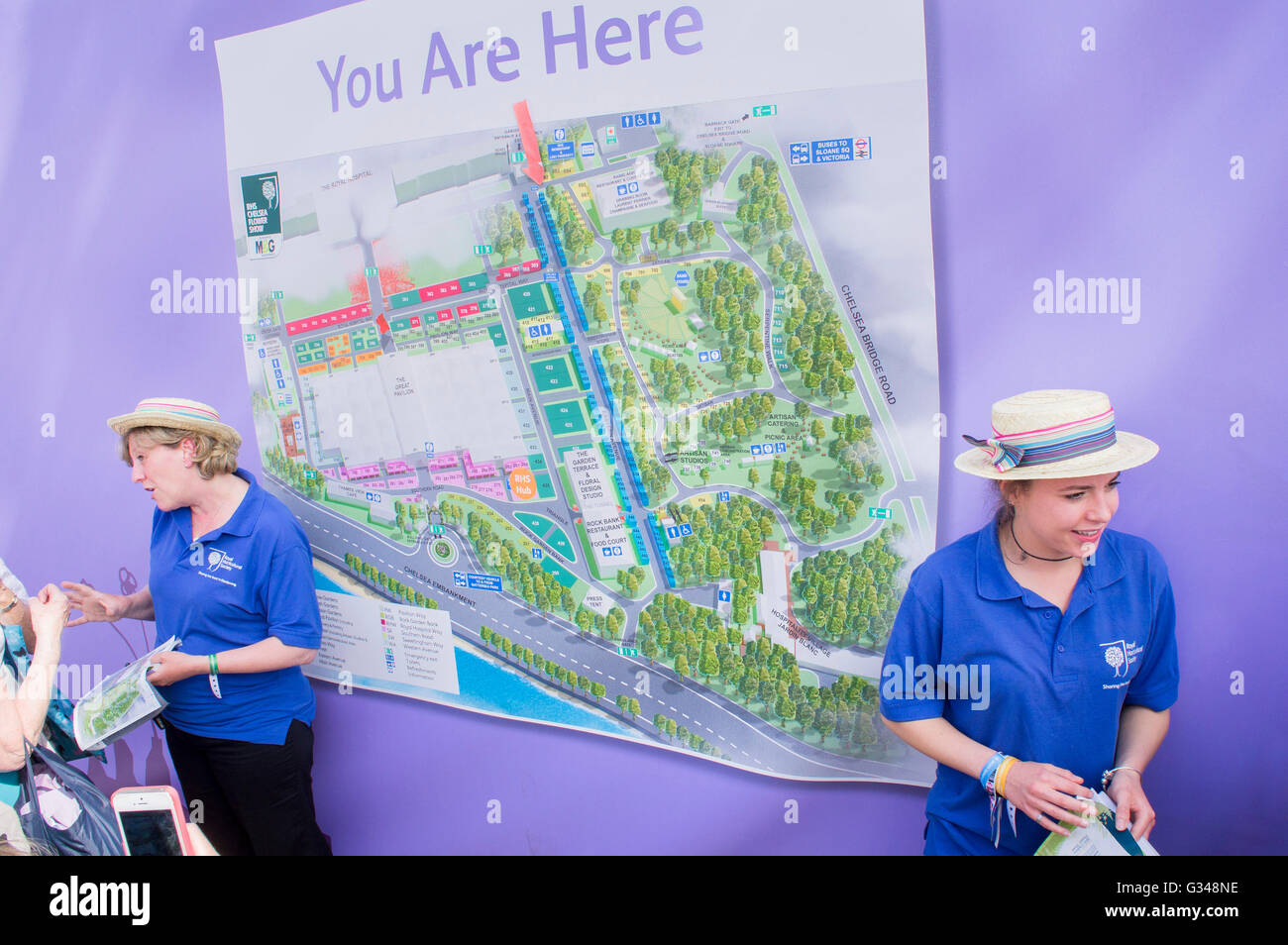 RHS Chelsea Flower Show 2016, You Are Here map Stock Photo - Alamy