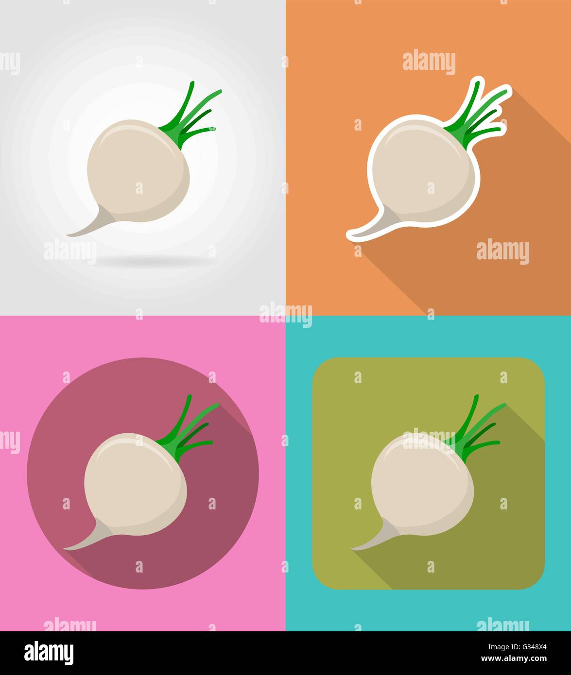 turnips vegetable flat icons with the shadow vector illustration ...