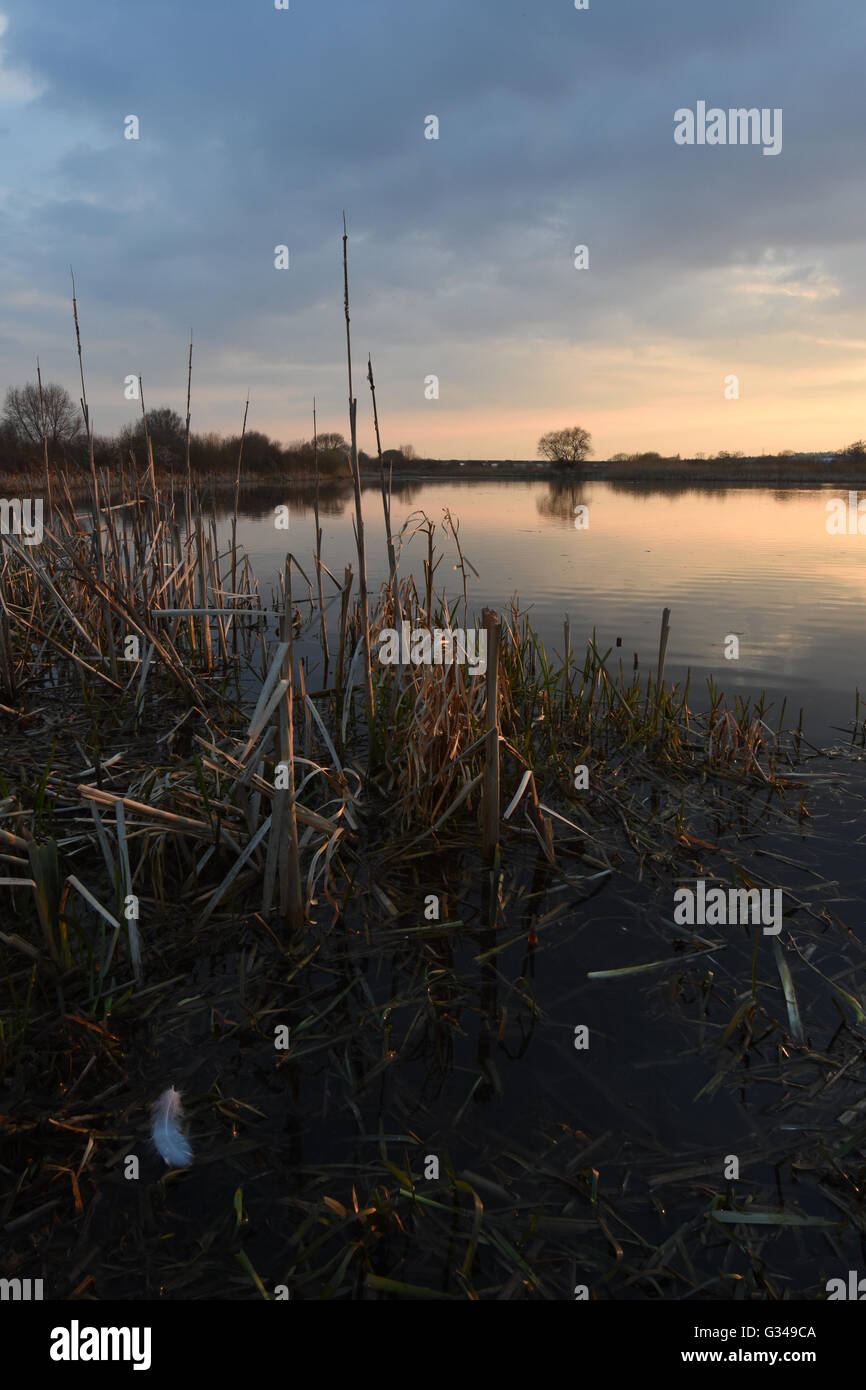 Sunset at a nature reserve Stock Photo - Alamy