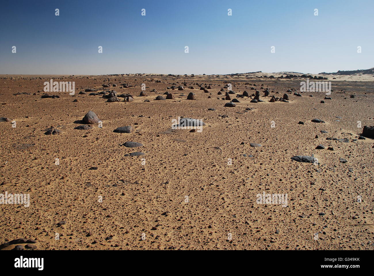 Wide Algeria desert with rocks and stones Stock Photo - Alamy