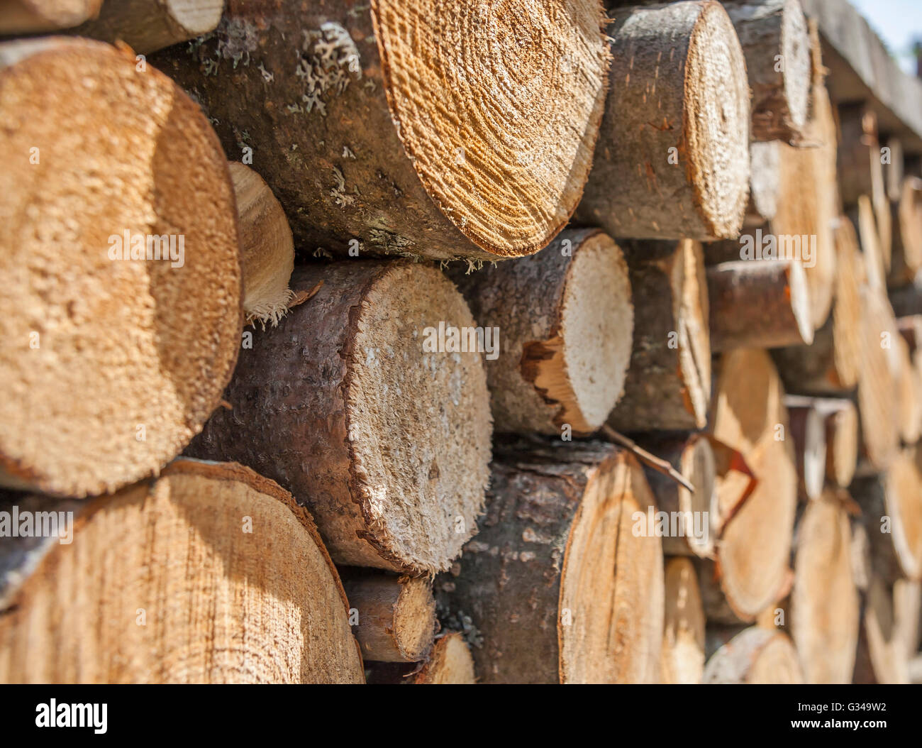 Log wood wall background Stock Photo - Alamy