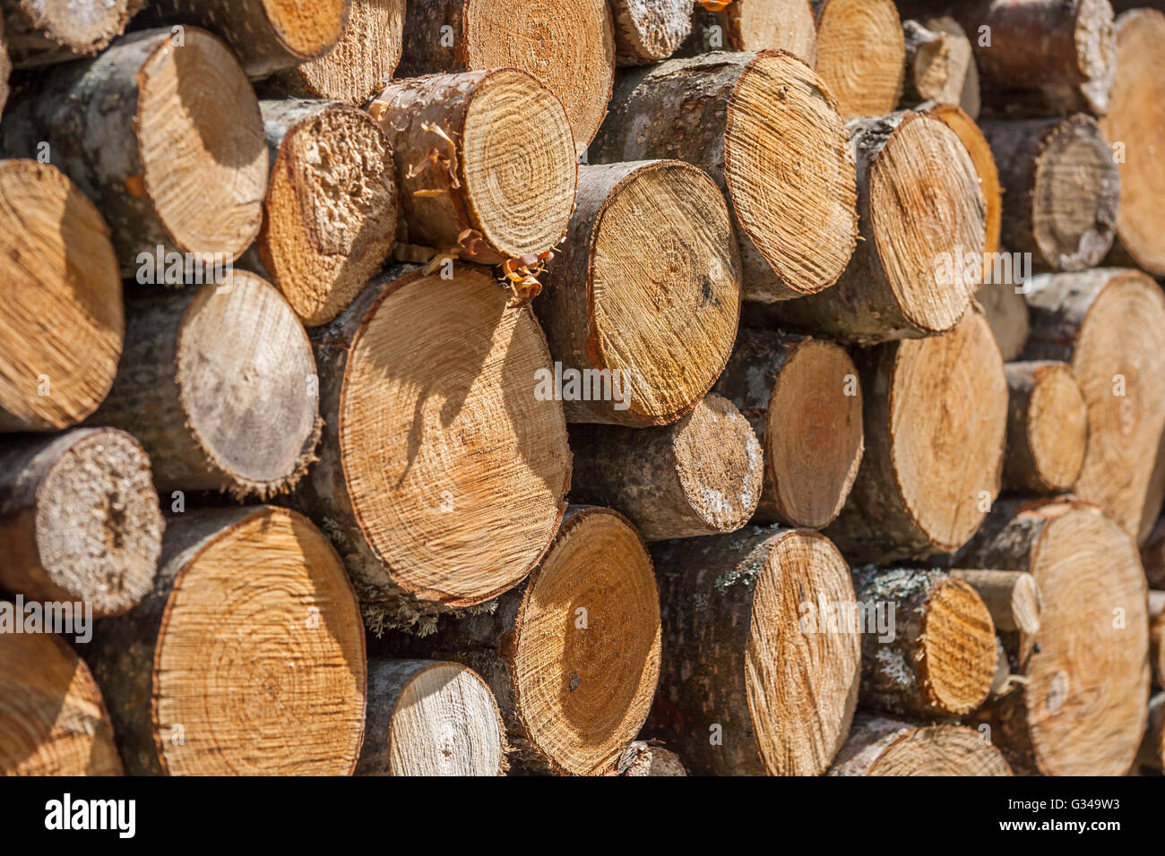 Cutting up wood for fire hi-res stock photography and images - Alamy