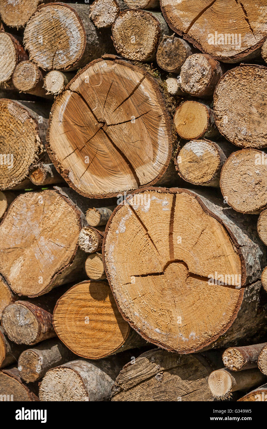 Natural wooden logs background Stock Photo - Alamy