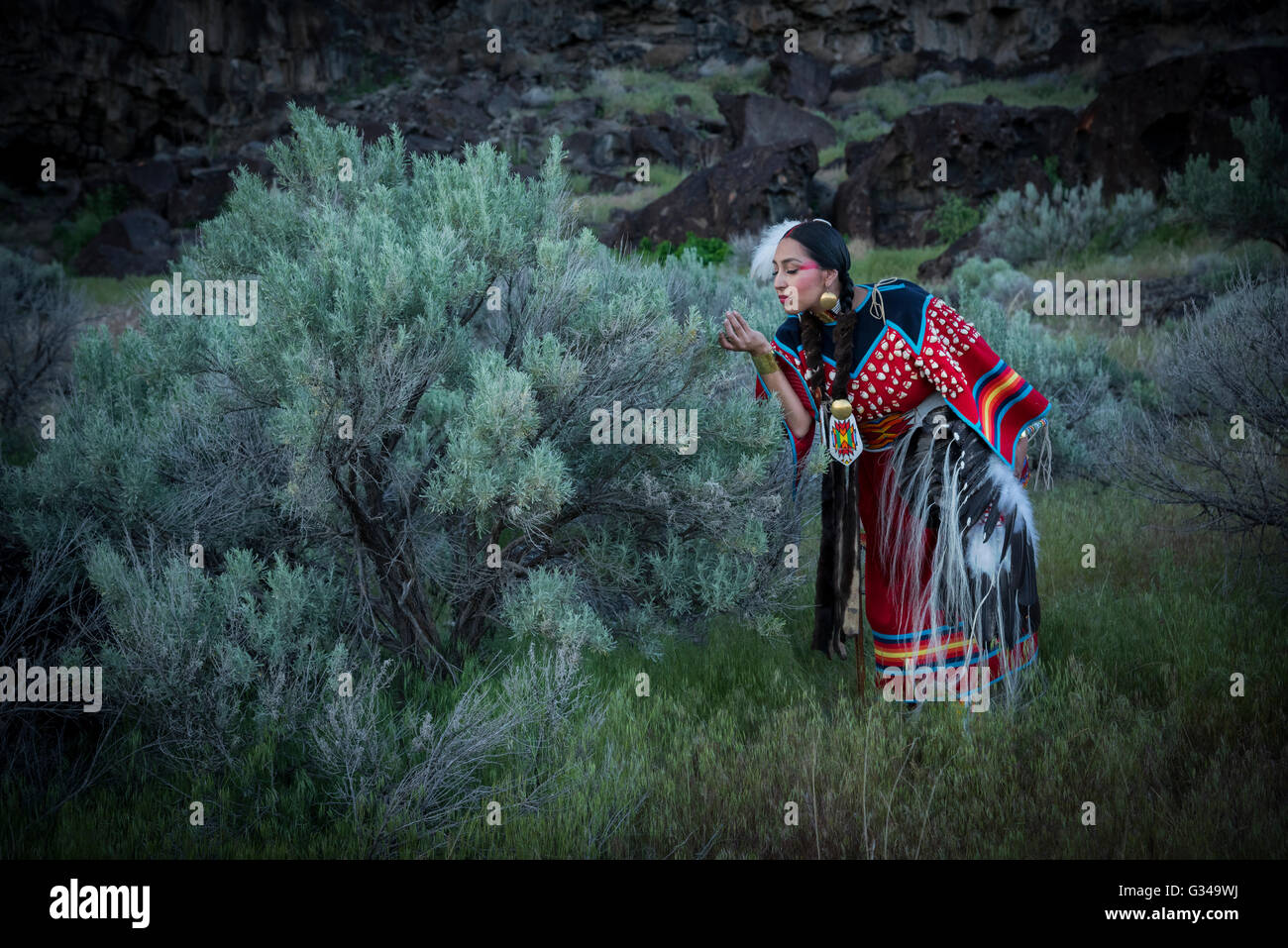 USA, Idaho, Willow Abrahamson, Shoshone Beauty along Snake River Canyon ...