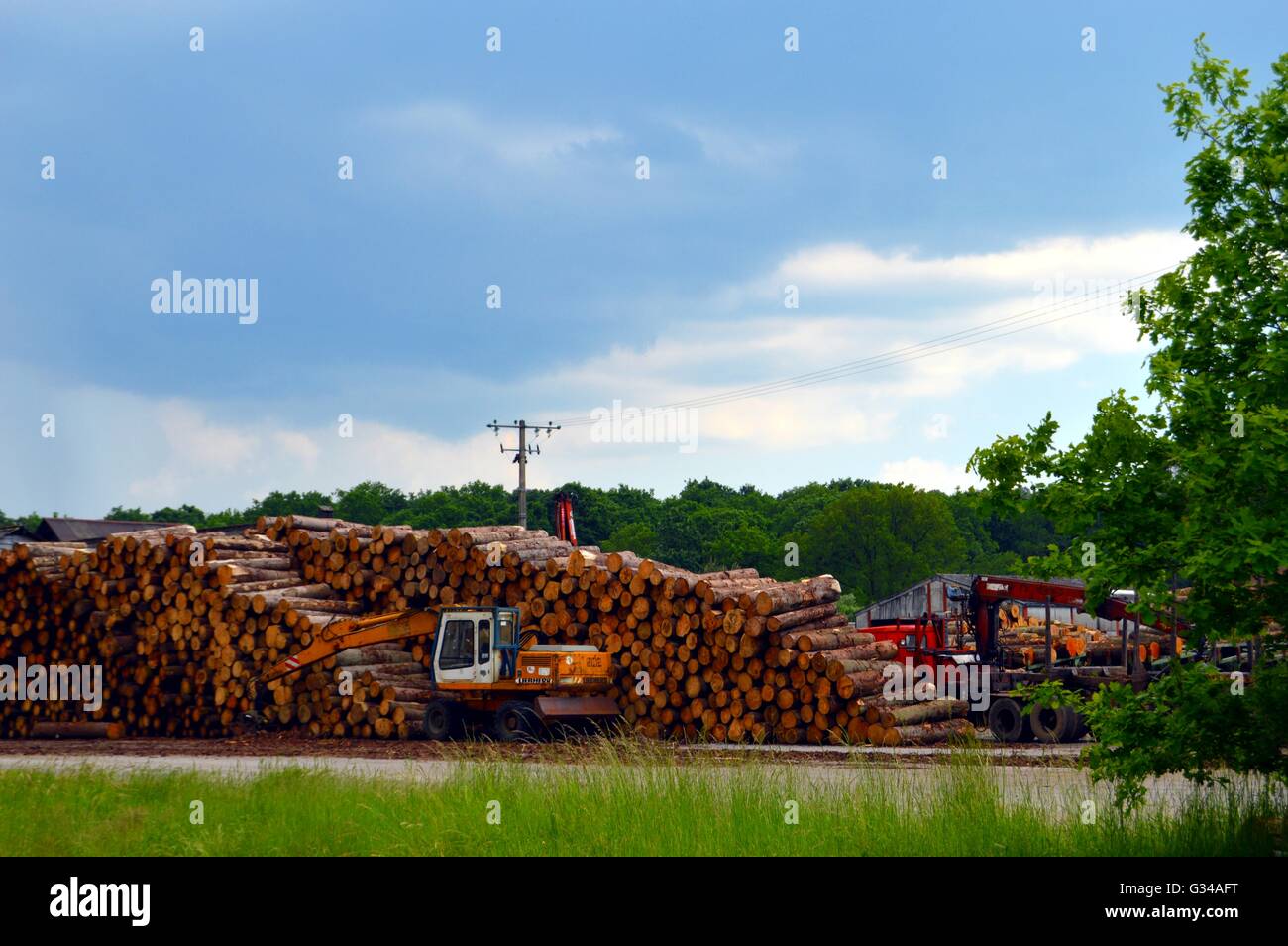 Grapes transportation hi-res stock photography and images - Alamy