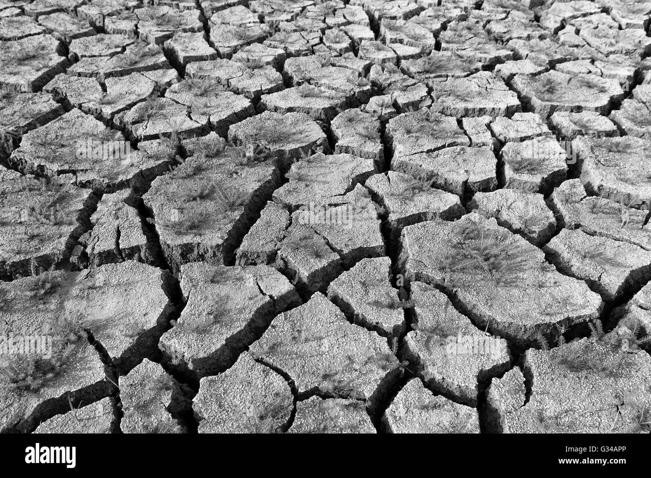 Mud in the bottom of a pond hi-res stock photography and images - Alamy