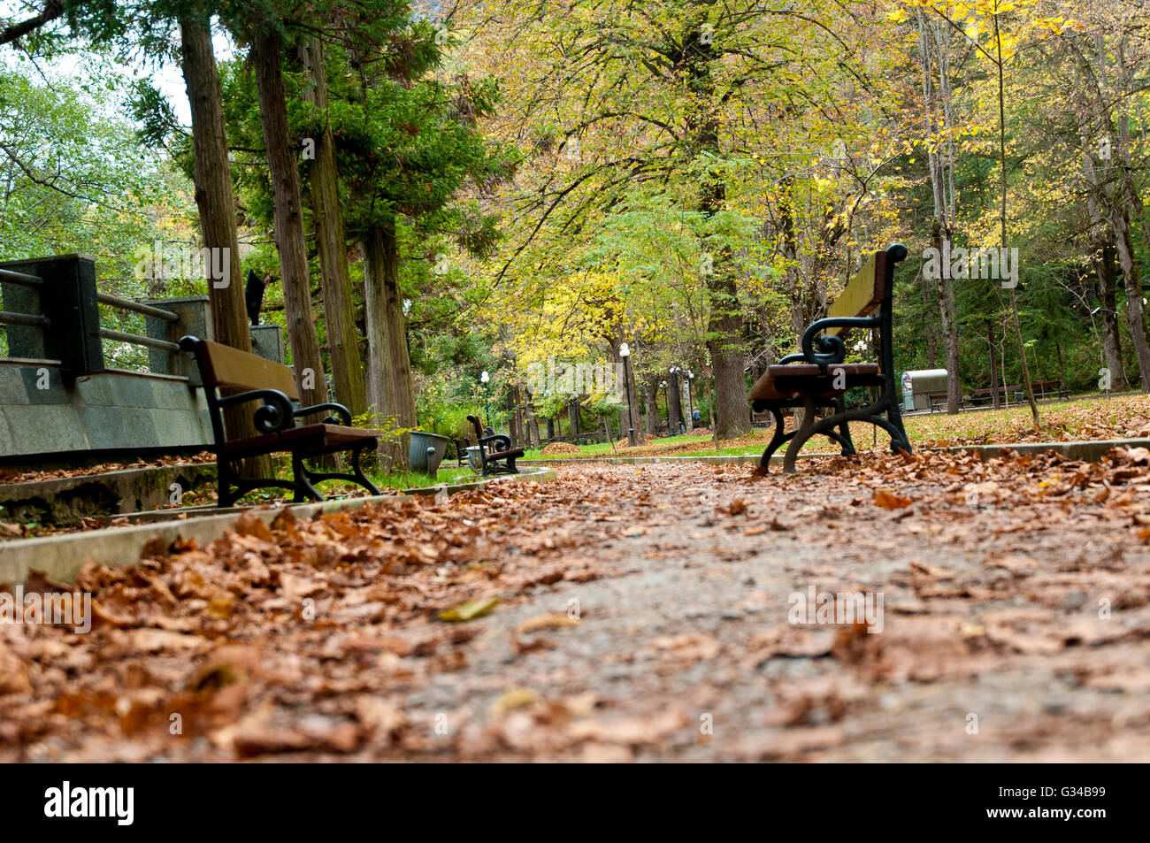 Wellness walk in the forest hi-res stock photography and images - Alamy