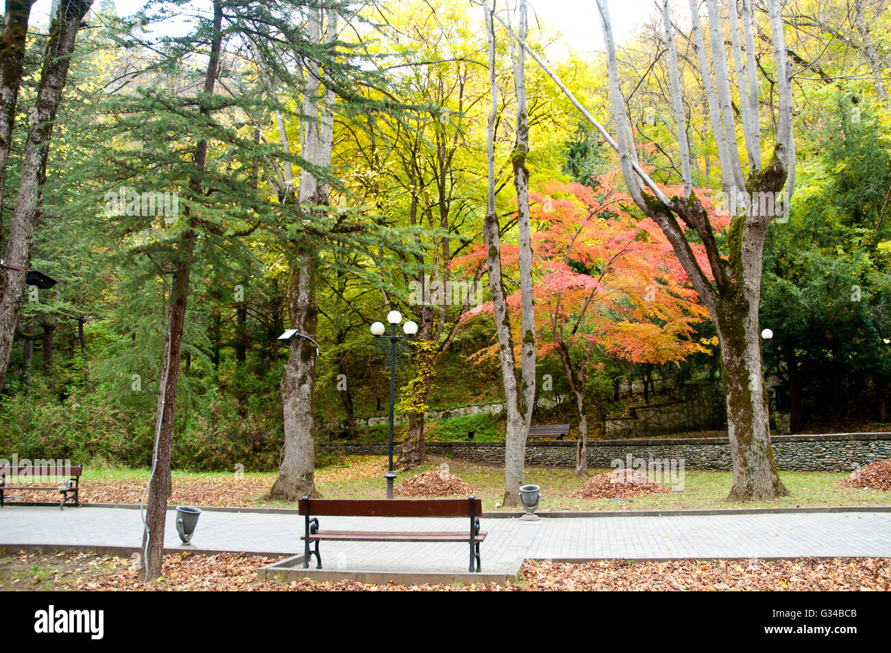 Central borjomi park hi-res stock photography and images - Alamy