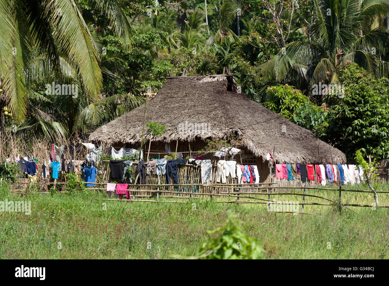 Rice Fields with a local hut, countryside of Donsol, Philippines Stock ...