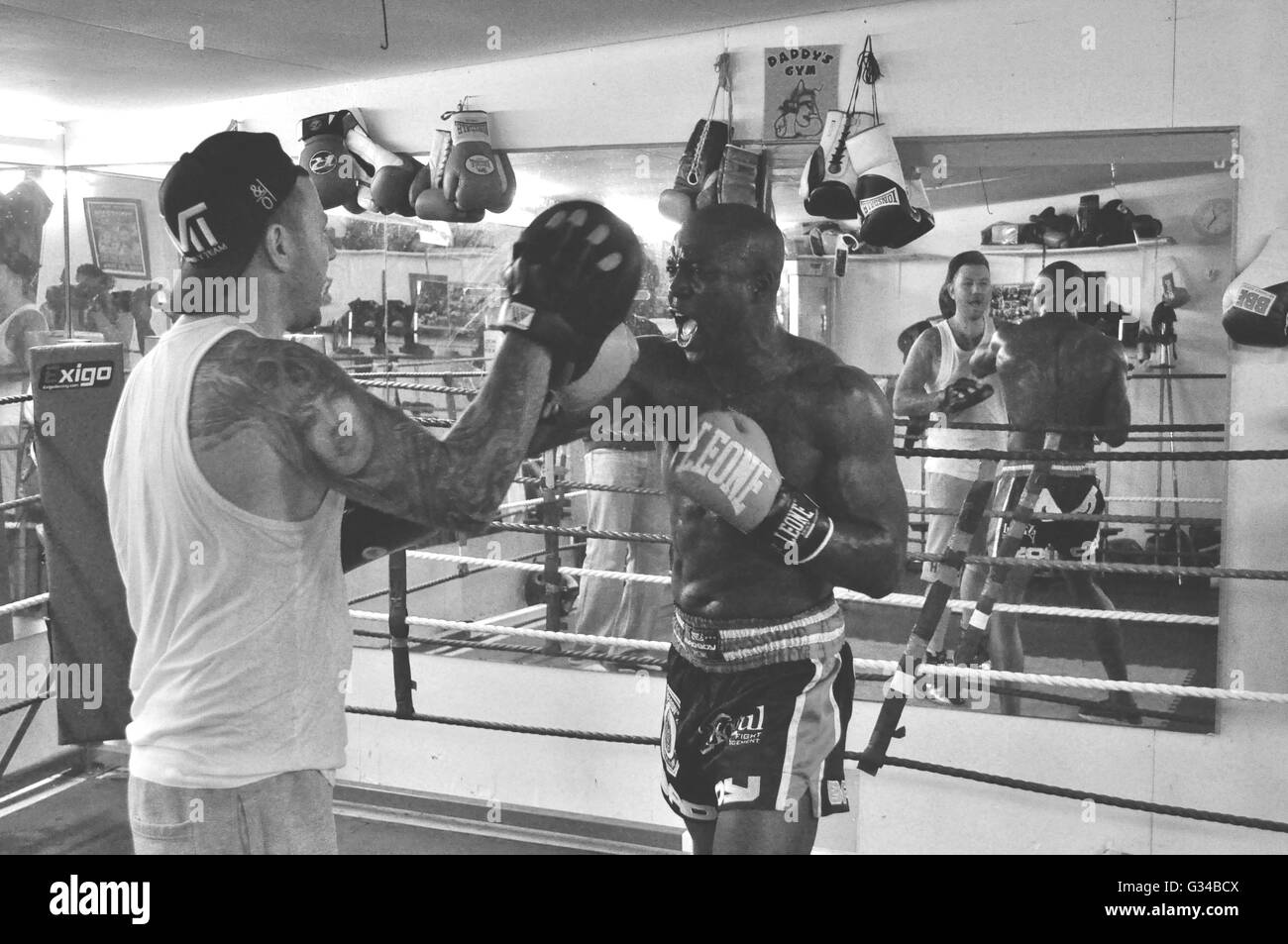 Boxing training pads hi-res stock photography and images - Alamy