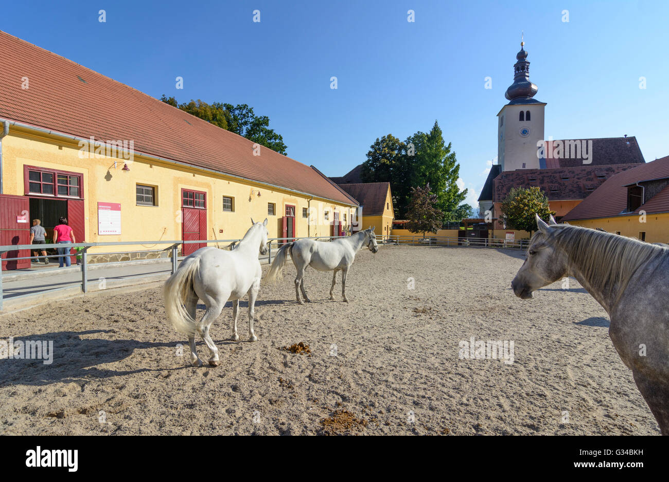 Castle Piber High Resolution Stock Photography and Images - Alamy