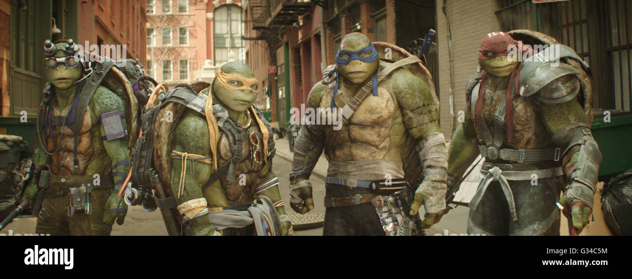 Raphael michelangelo donatello leonardo teenage mutant ninja turtles hi ...