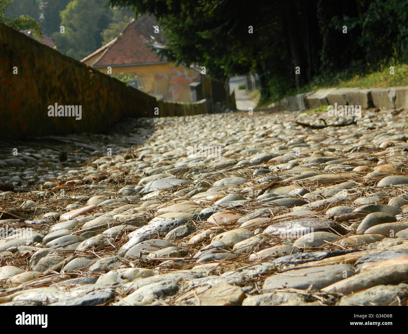 cobblestone path in Ptuj, Slovenia Stock Photo - Alamy