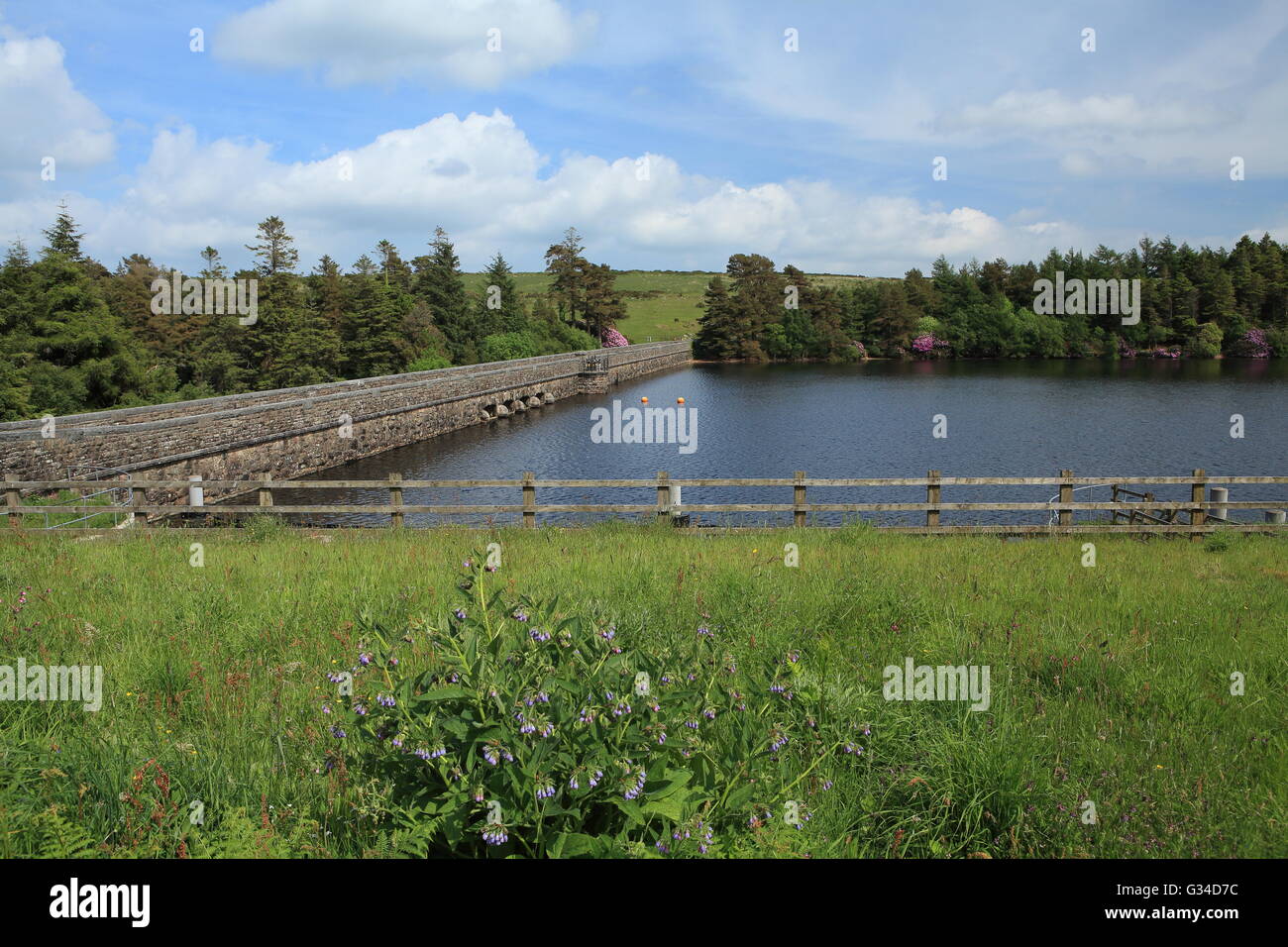 Venford reservoir in Dartmoor national park, Devon, England, UK Stock ...