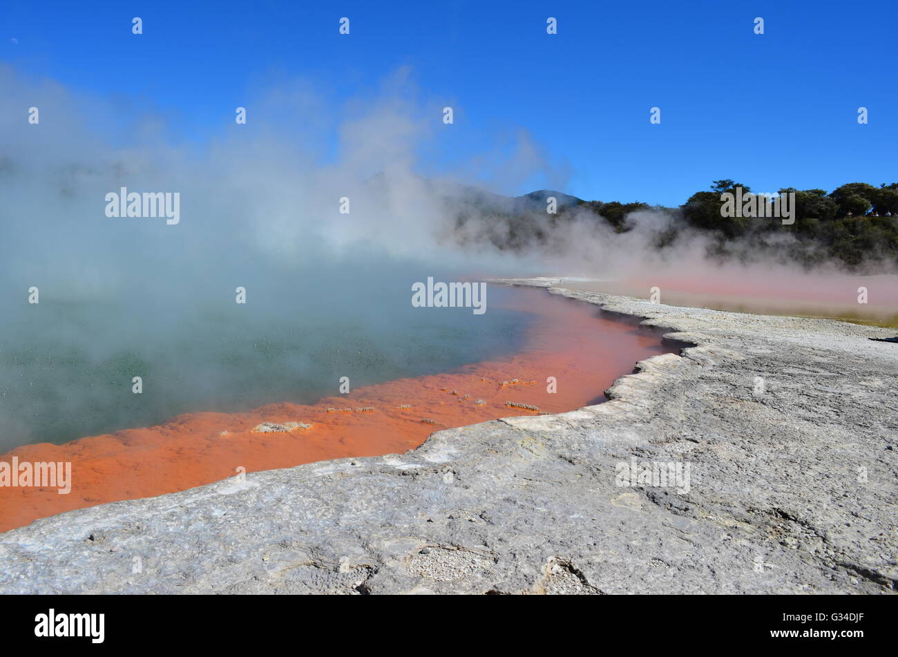 Champagne Pool, boiling hot water and steam pool in a geothermal area ...
