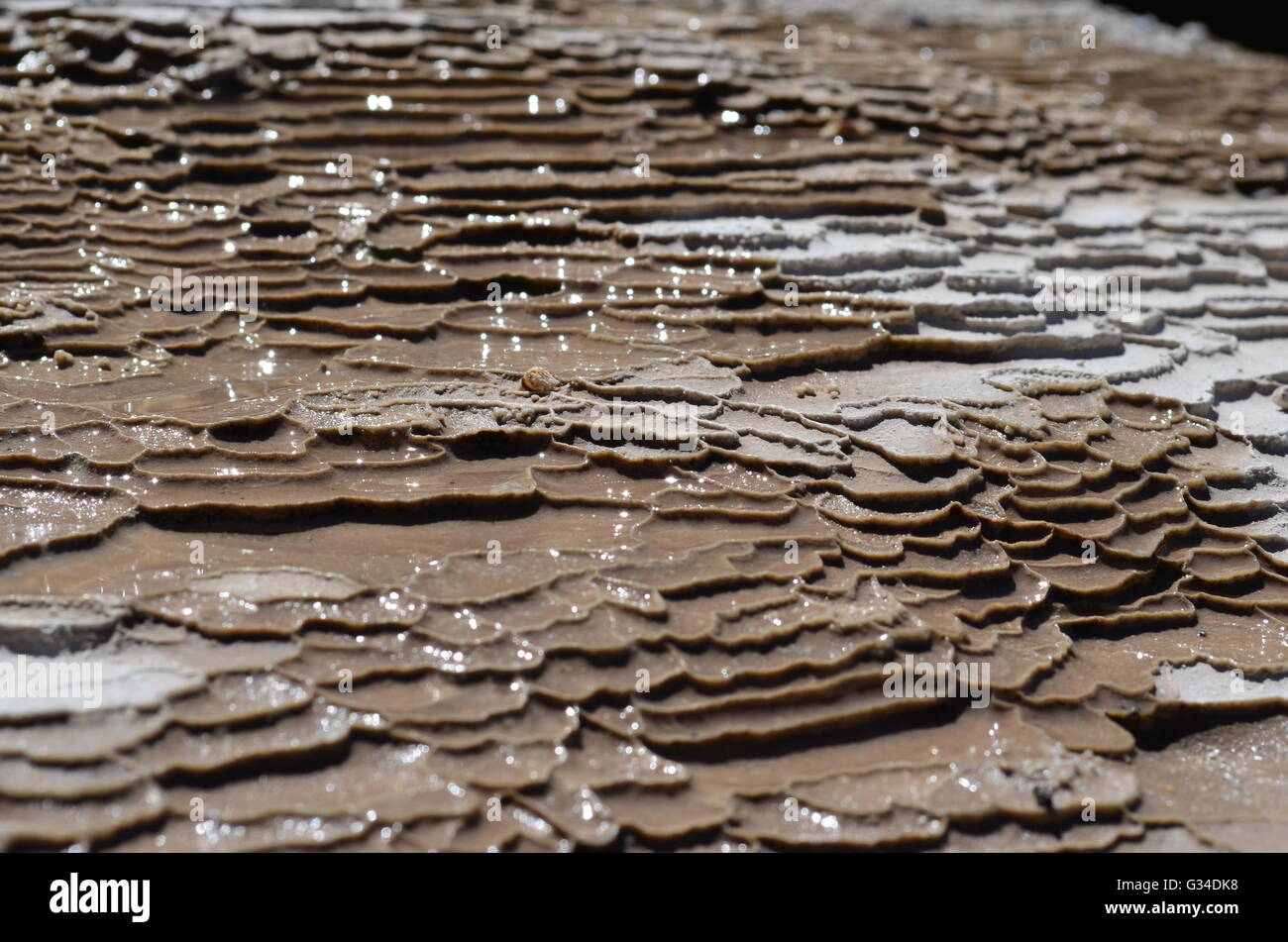 Artistic form of shape on the edge of a mud pool, created by the ...