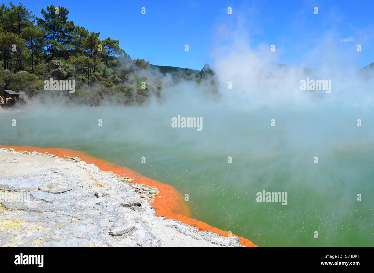 Champagne Pool, boiling hot water and steam pool in a geothermal area ...