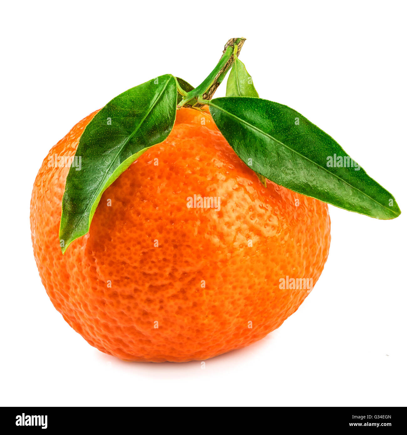 Tangerine one Mandarin on white. Closeup Stock Photo - Alamy