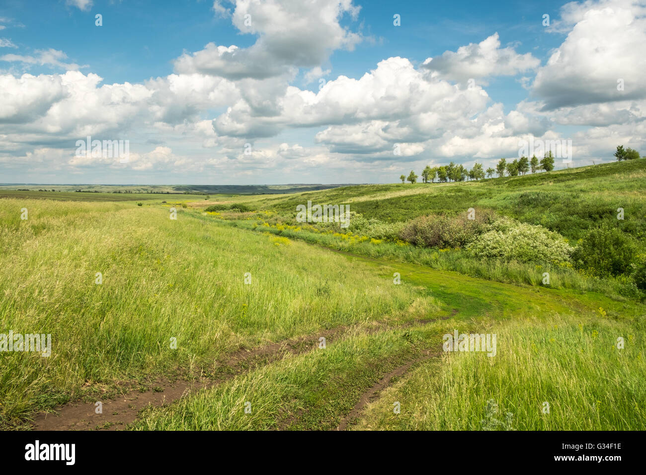 Country lane field summer hi-res stock photography and images - Alamy