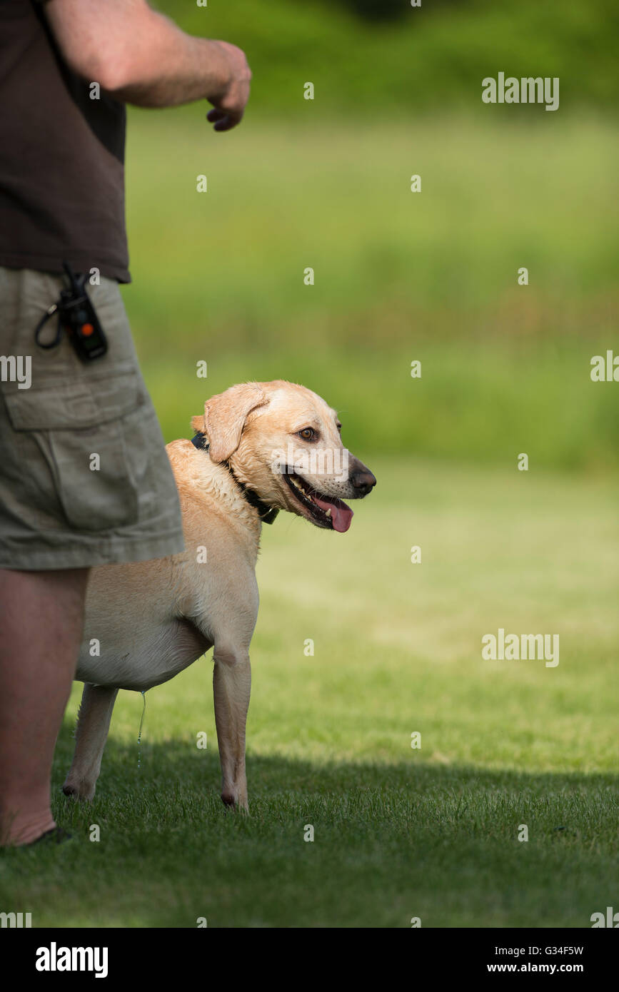 Lab training hi-res stock photography and images - Alamy