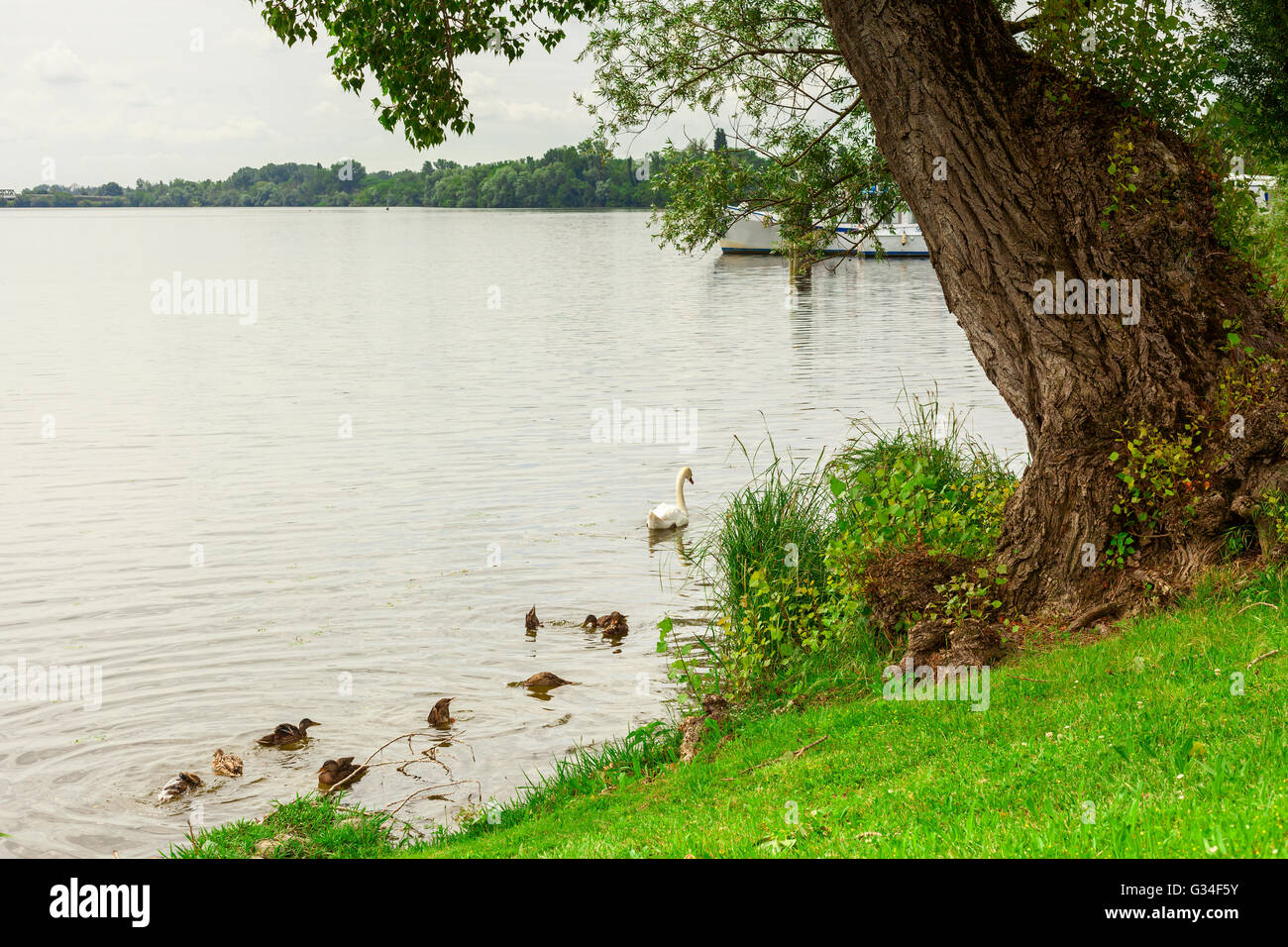 Family at lake hi-res stock photography and images - Alamy
