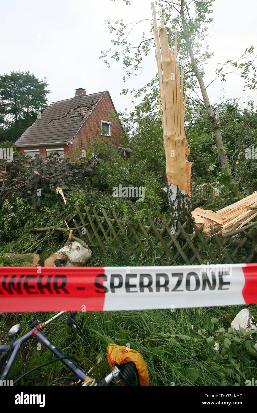 A picture dated 8 June 2016 shows snapped trees and a damaged rooftop ...