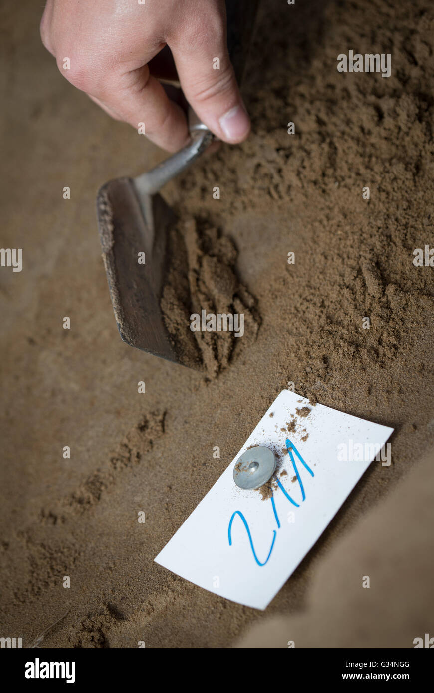 Bramsche-Kalkriese, Germany. 08th June, 2016. An excavation helper uses ...