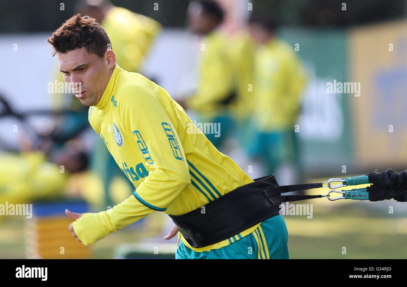 SAO PAULO, Brazil - 06/08/2016: TRAINING OF PALM TREES - Moses, player ...
