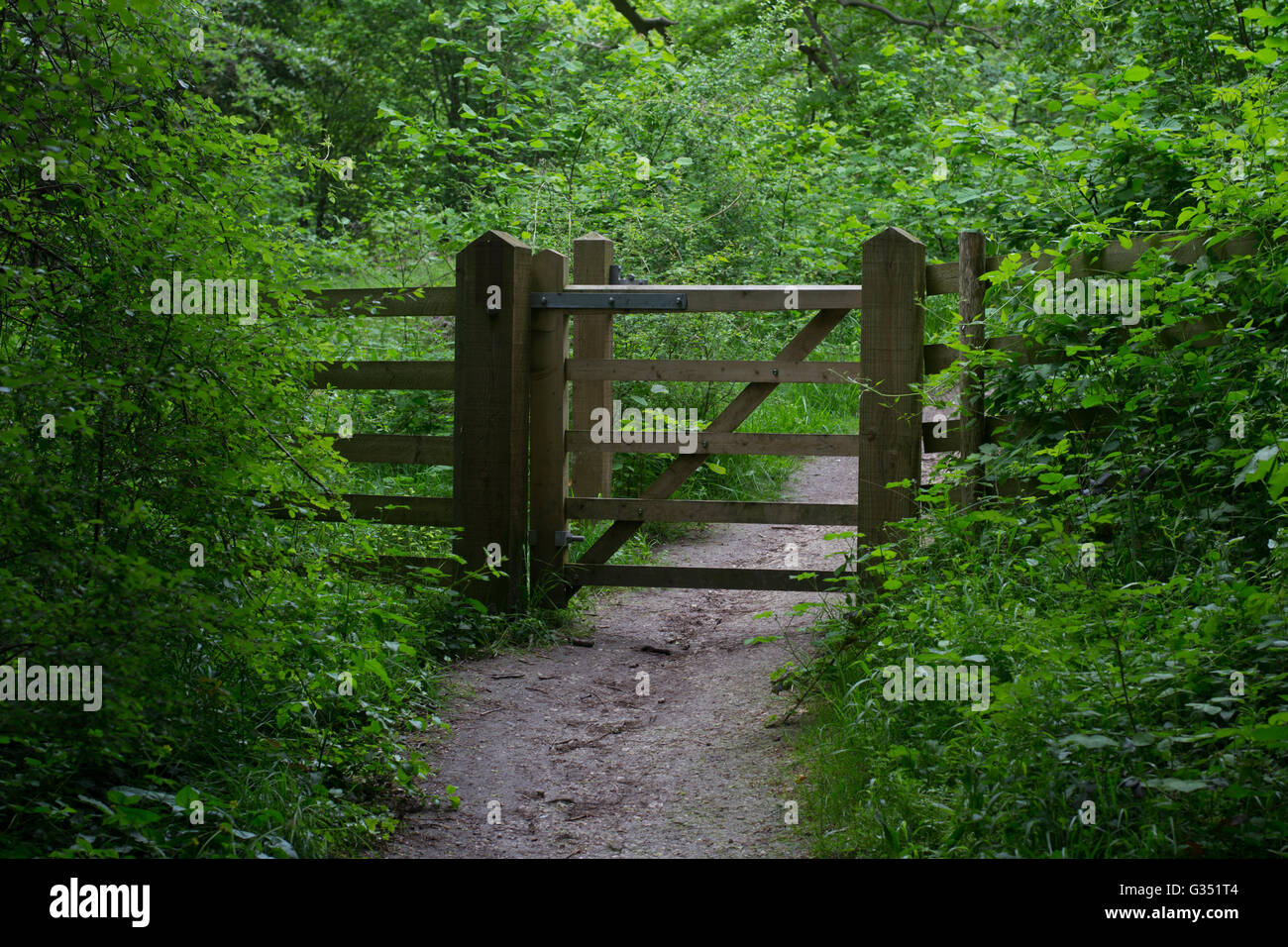 Wooden hill hi-res stock photography and images - Alamy