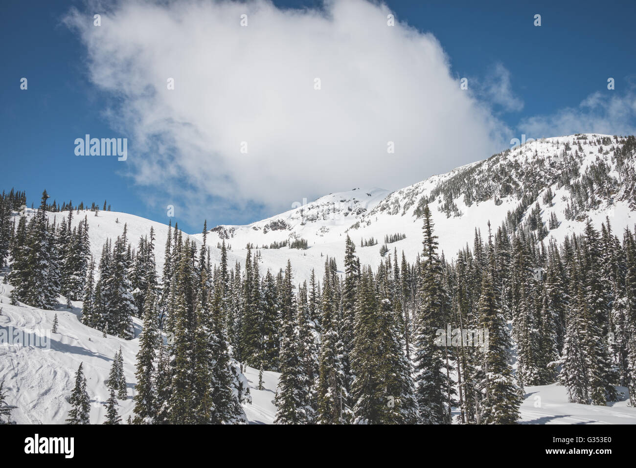 Whistler blackcomb mountain resort hi-res stock photography and images ...