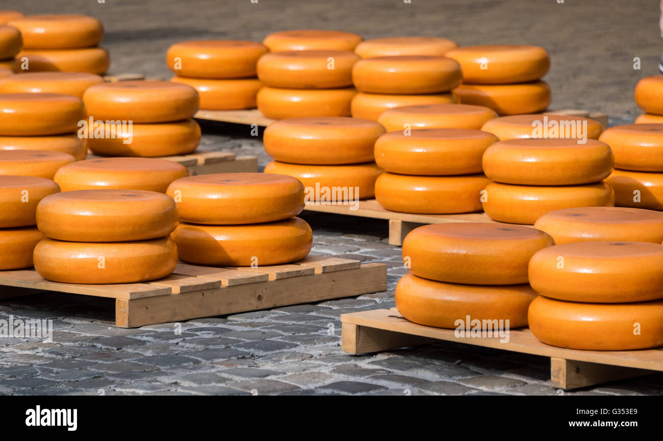 Stacked cheeses in the market place in Gouda, Netherlands Stock Photo ...