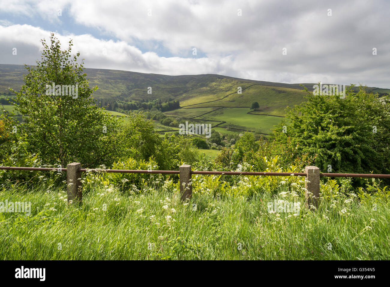 Derbyshire cow hi-res stock photography and images - Alamy