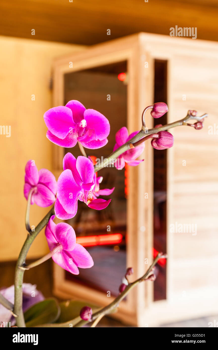 a small wooden infrarered sauna booth in a spa Stock Photo - Alamy