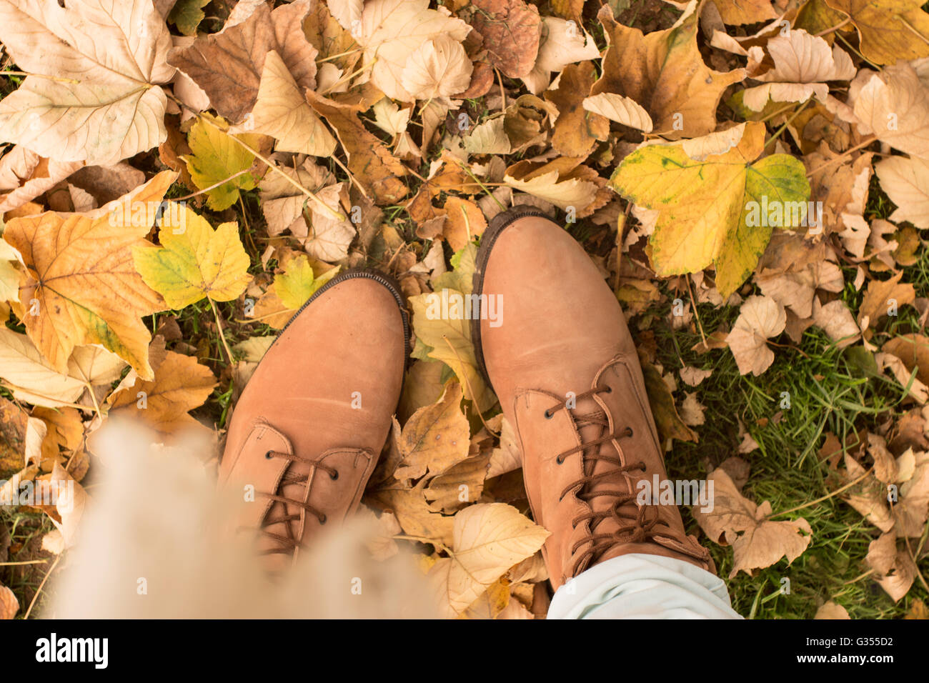 Fall, autumn, leaves, legs and shoes. Conceptual image of legs in boots ...