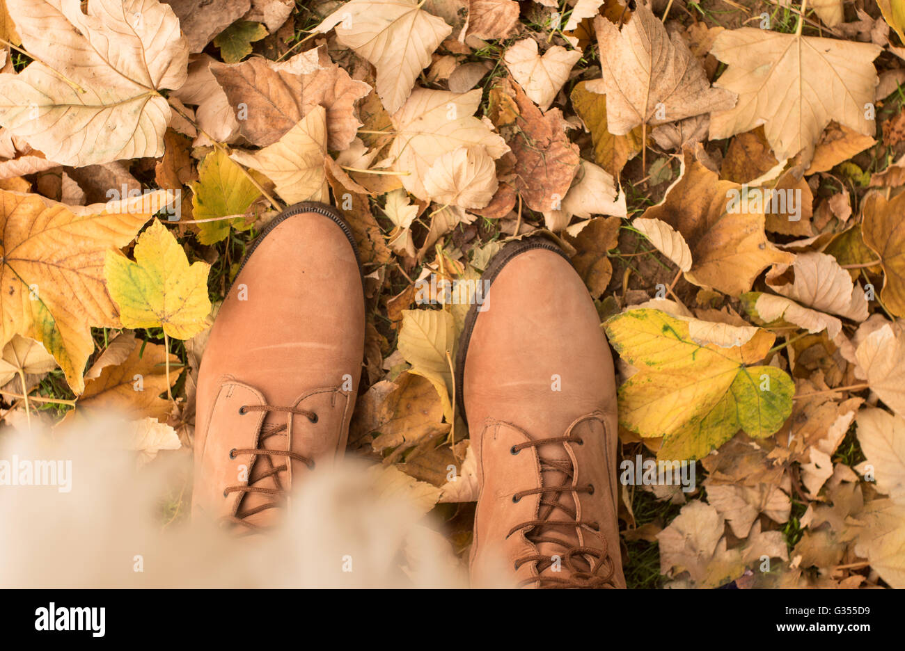 Fall, autumn, leaves, legs and shoes. Conceptual image of legs in boots ...