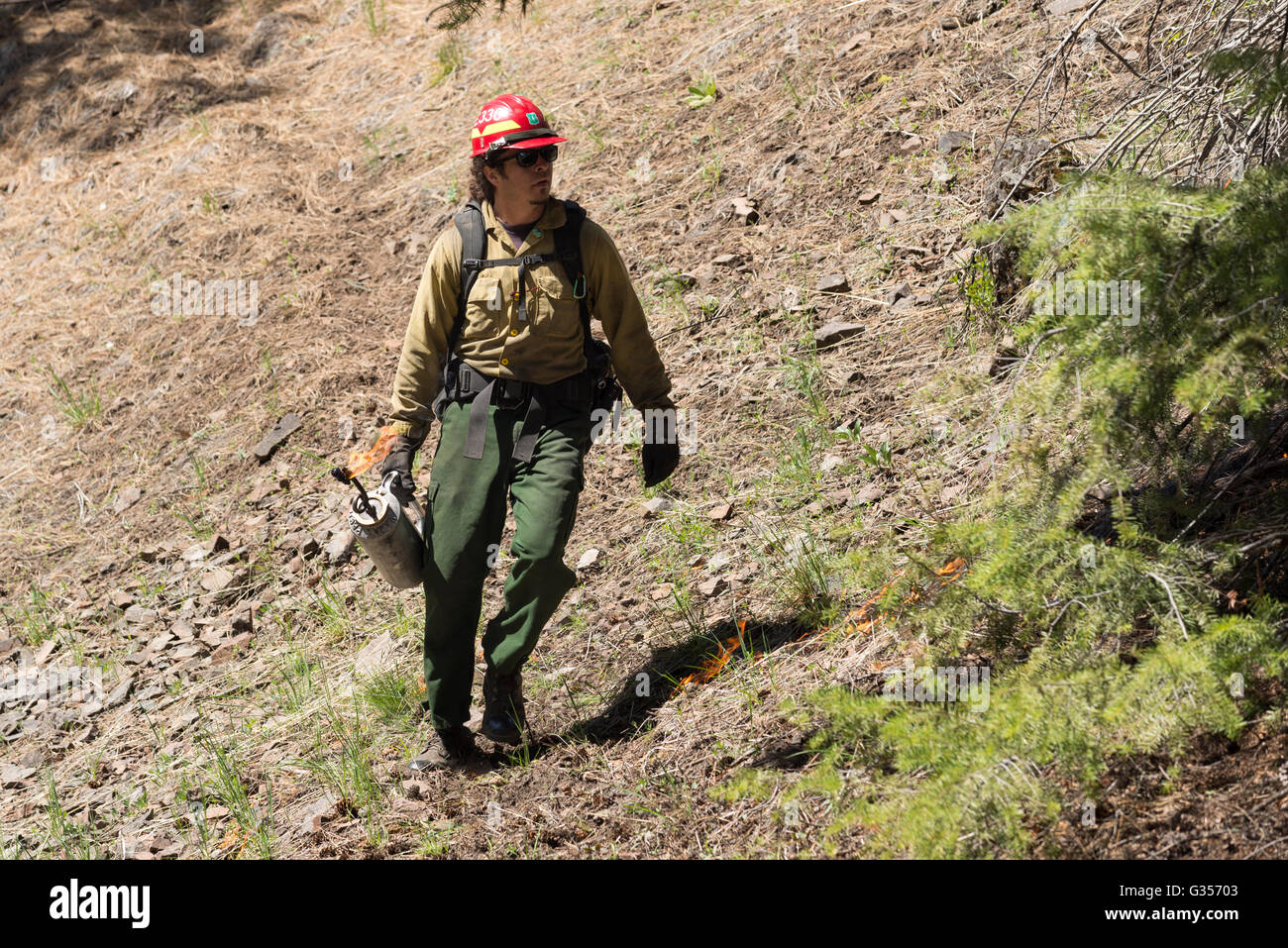 U s forest service controlled burn hi-res stock photography and images ...